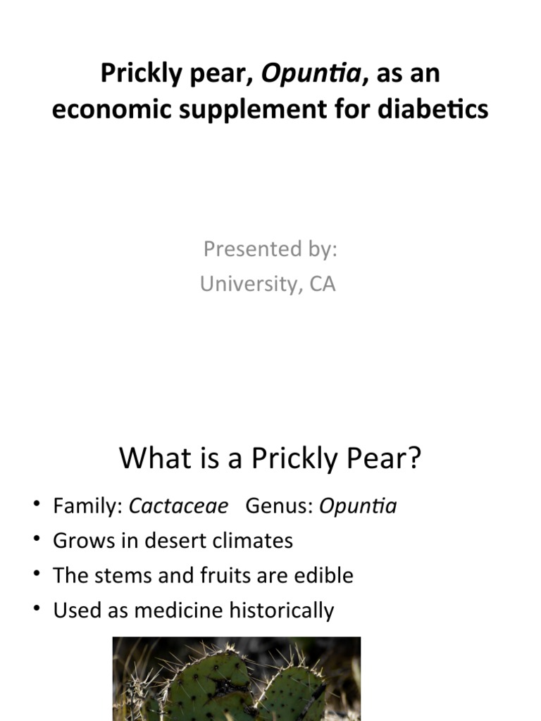 Prickly Pear: A Diabetic Aid | PDF | Fruit | Reactive Oxygen Species