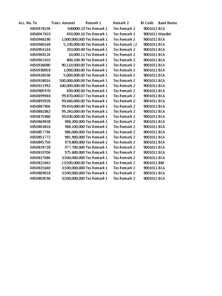 Bank Transaction Records Summary | PDF