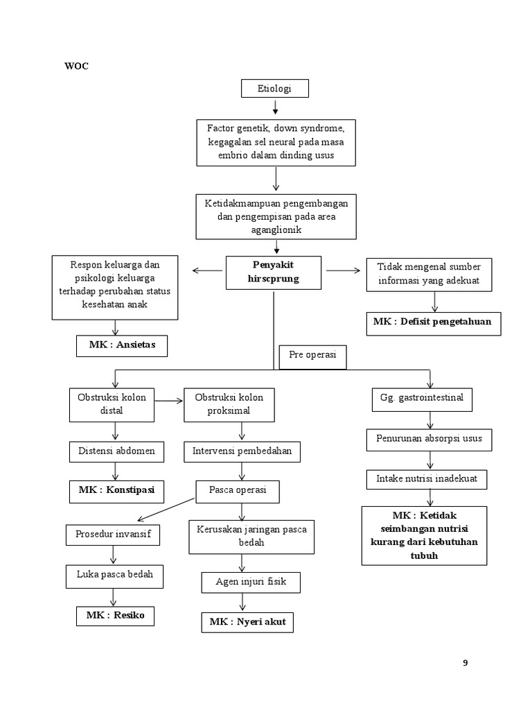 PENYAKIT HIRSCHSPRUNG DAN PENGELOLAANNYA | PDF