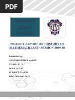 Maths Project | PDF | Trigonometric Functions | Trigonometry