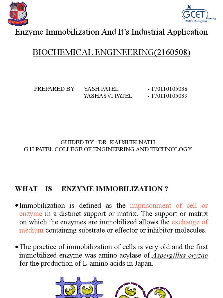Enzym Immobilization | PDF | Enzyme | Adsorption