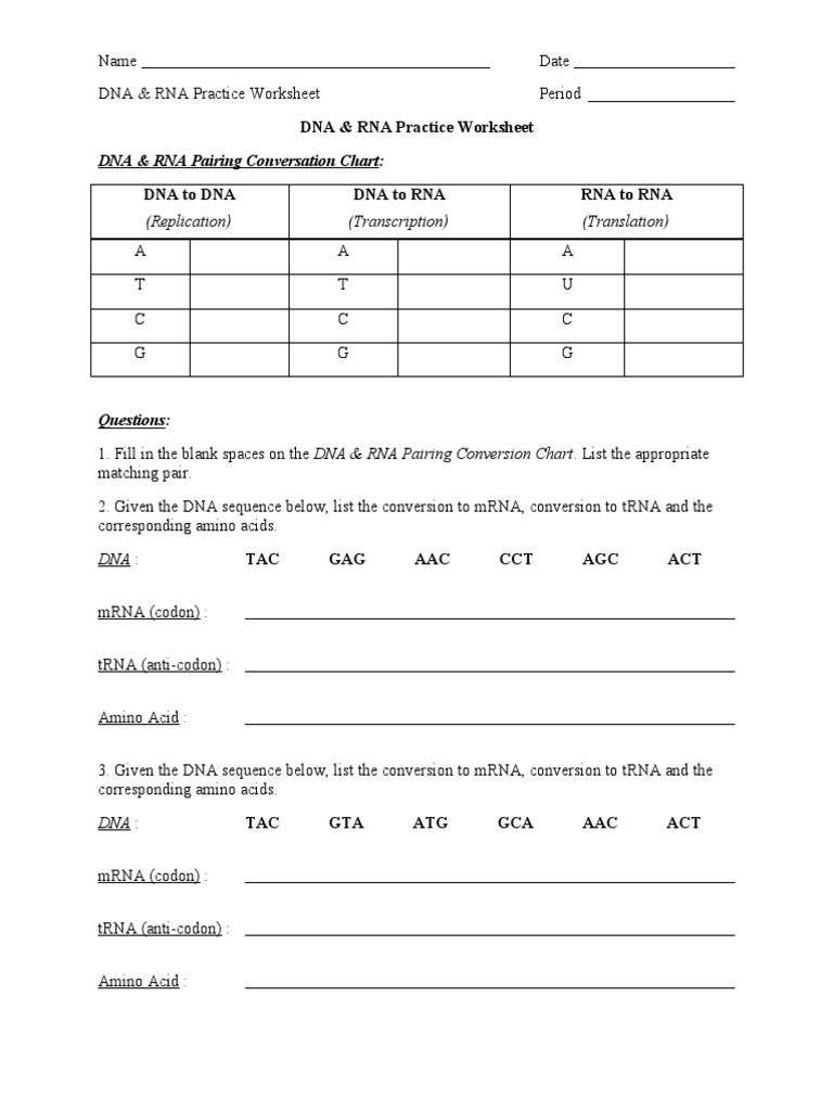 DNA and RNA Practice Worksheet | PDF