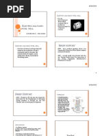 Cimech Boiler Brochure | PDF | Energy And Resource | Nature