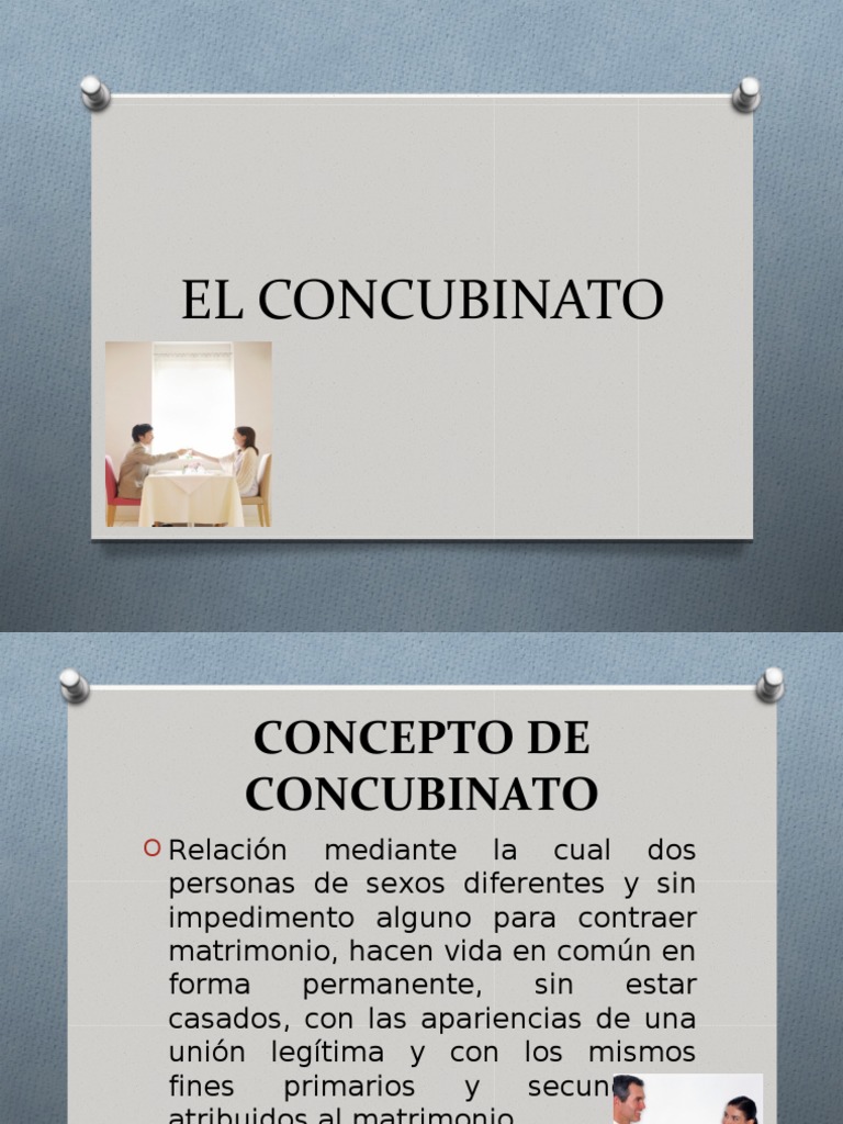 El Concubinato | PDF | Matrimonio | Gobierno