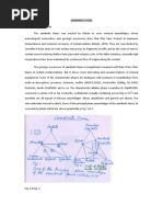 Barrovian Metamorphic Zones Explained | PDF | Geology | Petrology