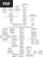 Pathway CKD Sdki | PDF