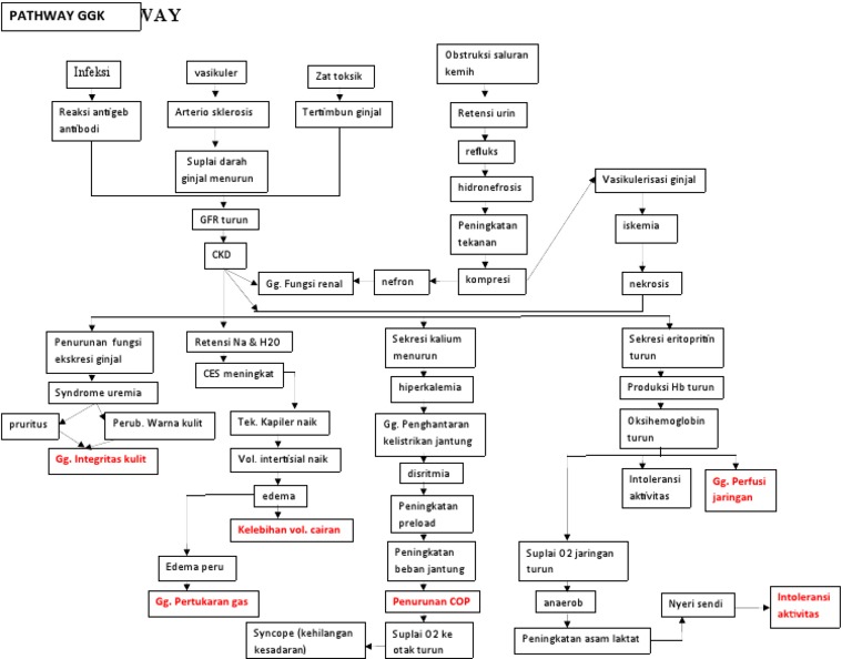 Pathway GGK Fix | PDF