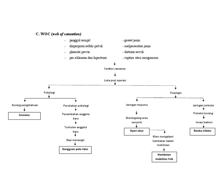 C. WOC (Web of Causation) | PDF