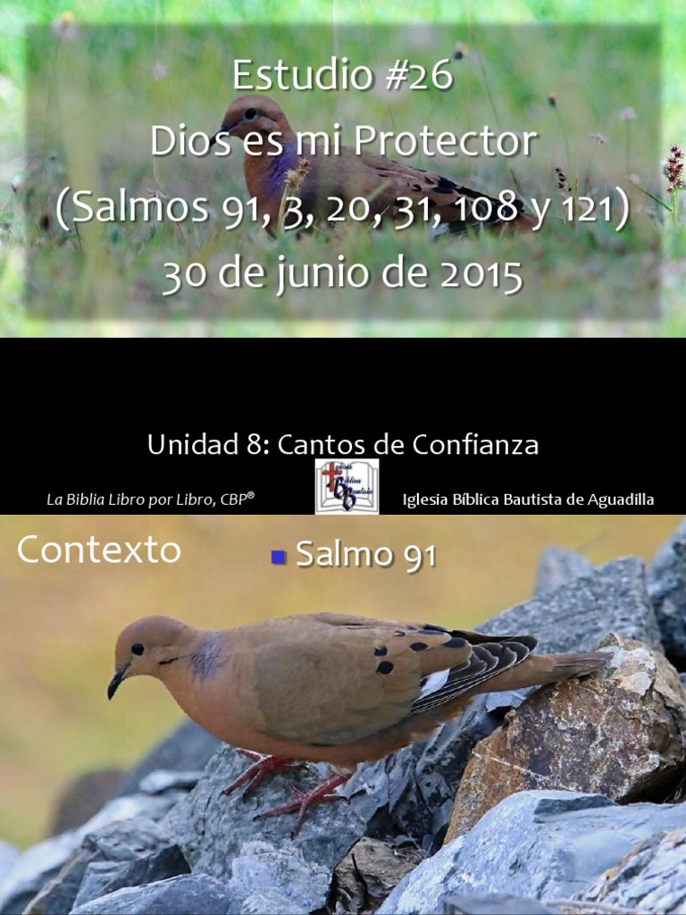 26 Dios Es Mi Protector PDF | PDF | Salmos | Biblia