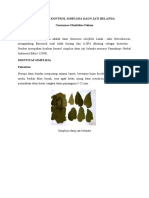 Kelompok 4 IDENTIFIKASI MAKROSKOPIS DAN MIKROSKOPIS RHIZOMA, FLOS, FRUCTUS DAN SEMEN | PDF