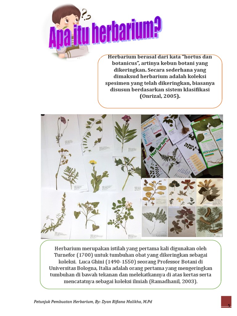 Buku Petunjuk Pembuatan Herbarium | PDF | Griya & Taman | Kesehatan Holistik
