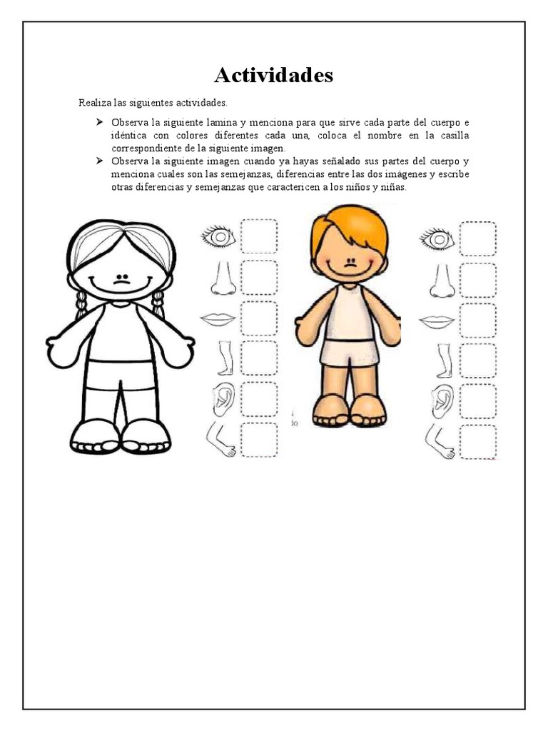 Actividades Destrezas Basicas | PDF