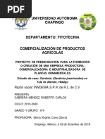 Acta de Constitución Del Proyecto de Aguacate | PDF | Aguacate | Naturaleza