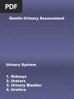 Q Tip Test | PDF | Urinary Incontinence | Urinary System