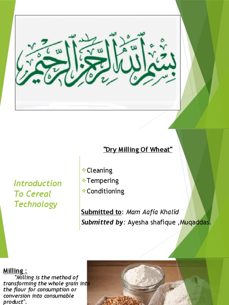 Presentation Dry Milling of Wheat | PDF | Flour | Mill (Grinding)