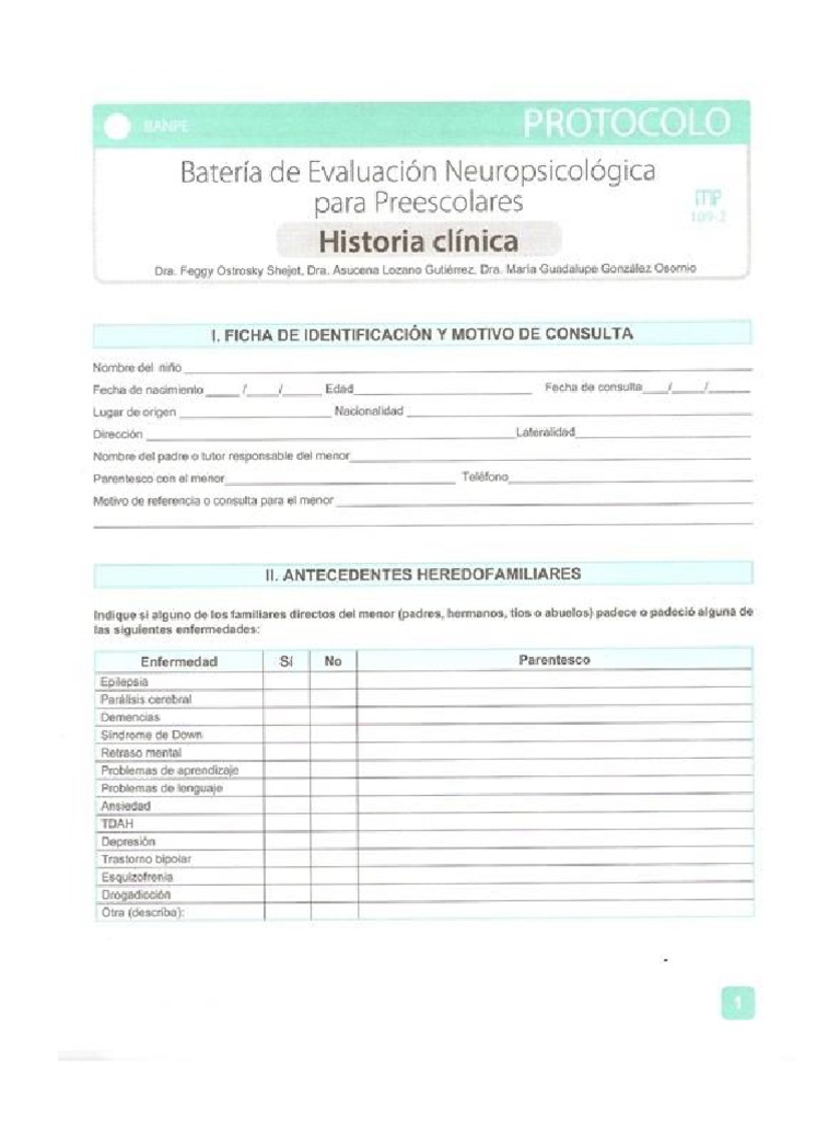 Protocolo BANPE PDF | PDF