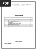 IIMARCH System for Police Operations | PDF | Crime Scene | Justice