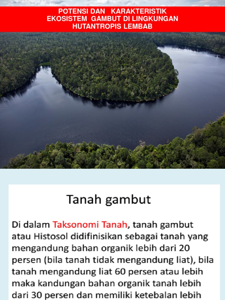 Potensi Dan Karakteristik Ekosistem Gambut Di Lingkungan Hutantropis ...