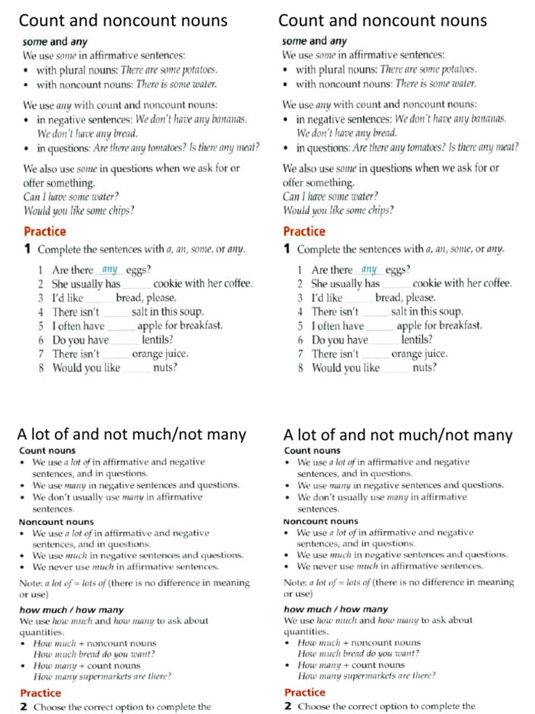 Count and Noncount Nouns Count and Noncount Nouns | PDF
