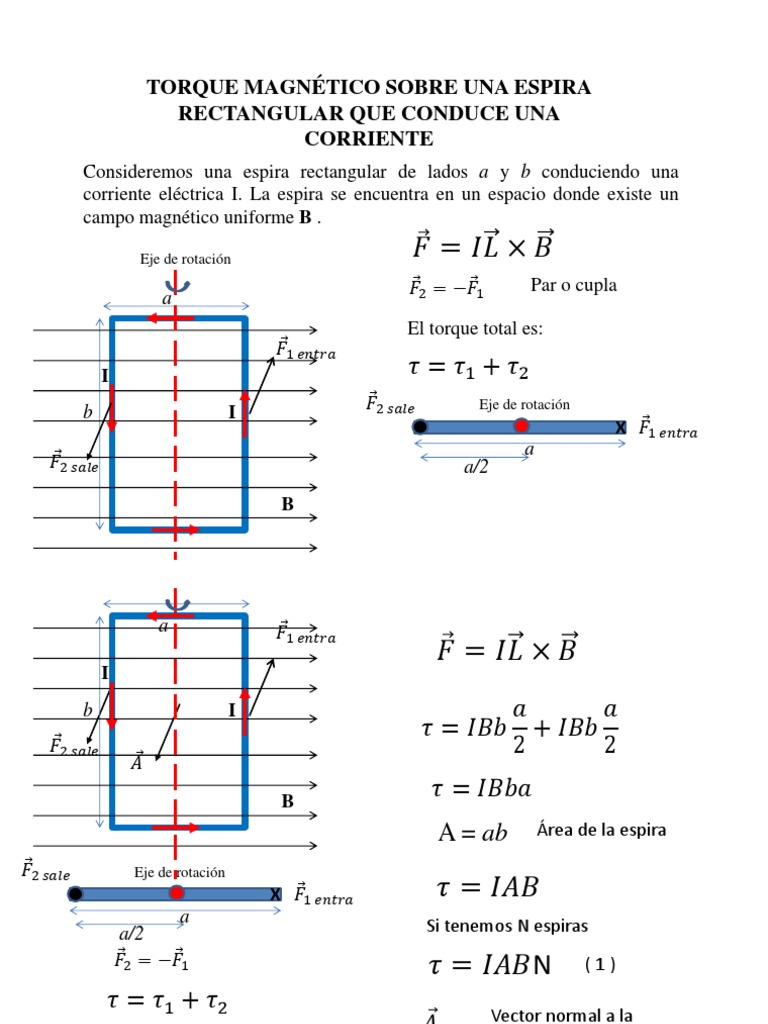 5.torque Magnético | PDF | Campo magnético | Vector Euclidiano