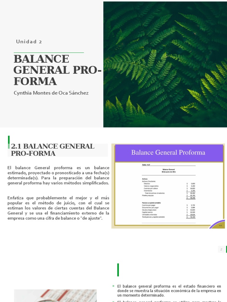 Balance General Pro-Forma | PDF | Hoja de balance | Contabilidad