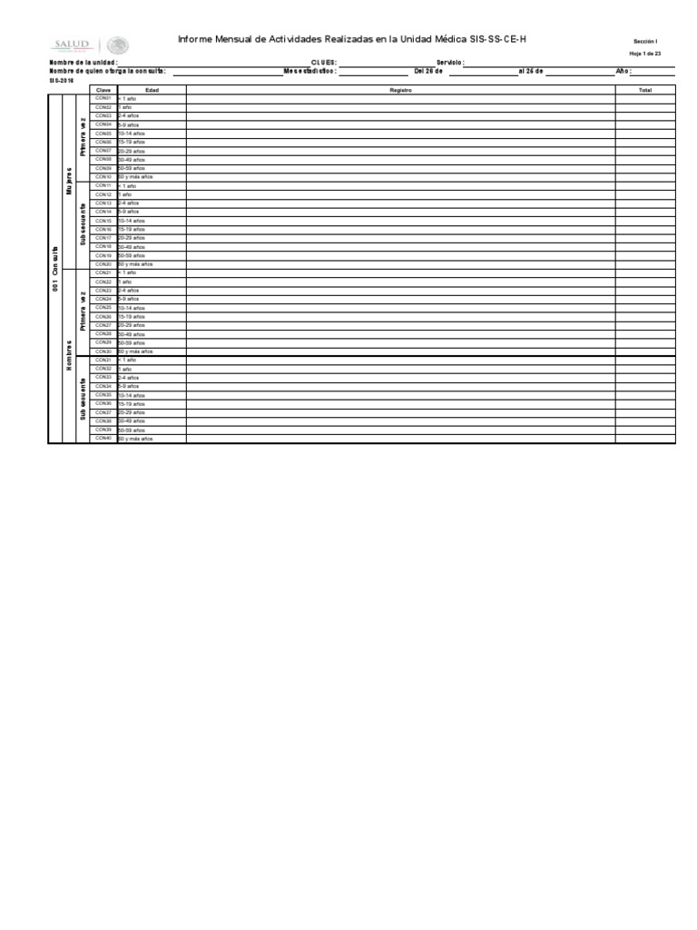 Formato Consulta Sis | PDF