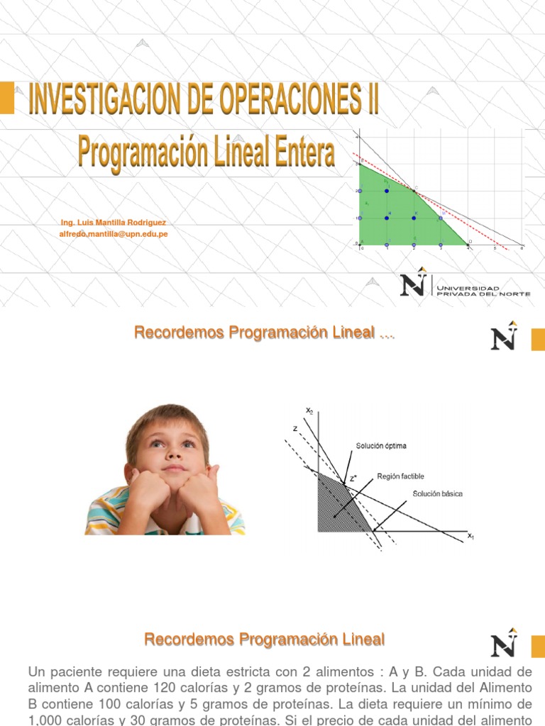 Programacion Lineal Entera | PDF | Programación lineal | Alimentos