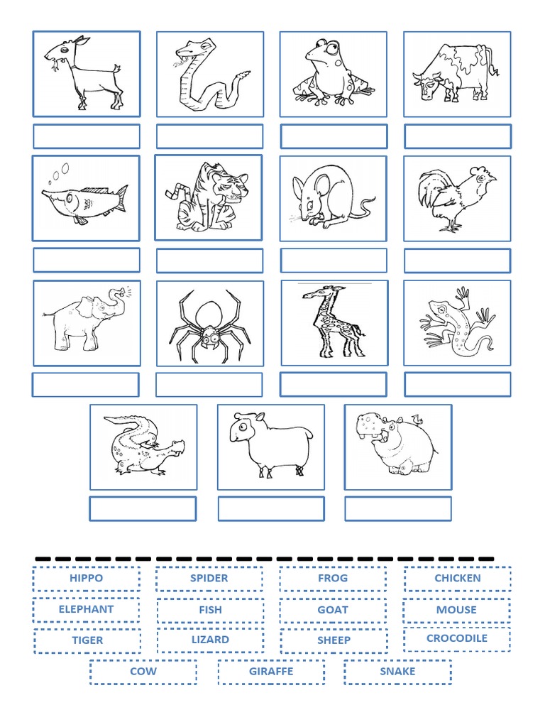 Animal Word Matching | PDF