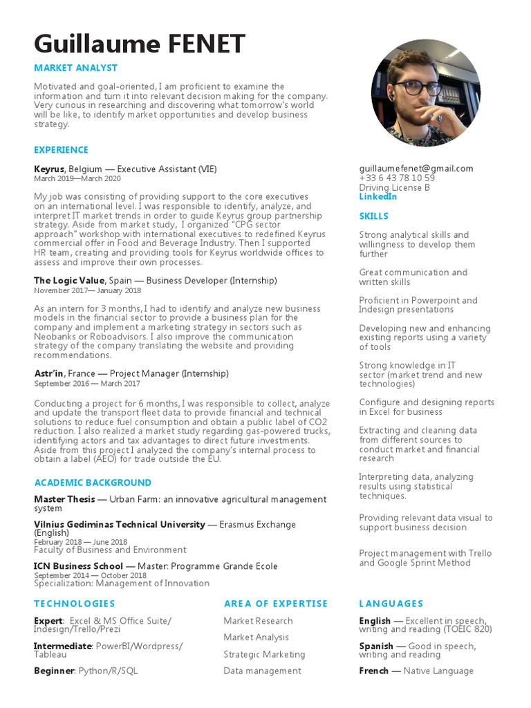 CV Guillaume Market Analyst | PDF | Data | Market Analysis