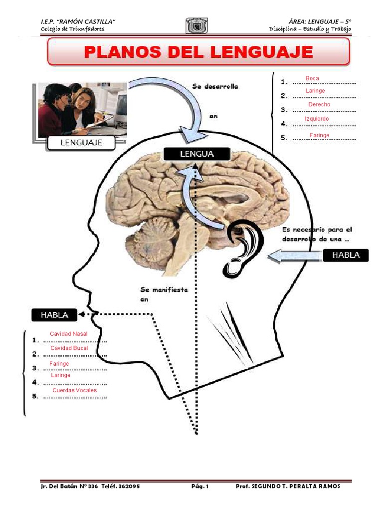 FUNCIONES DEL LENGUAJE-resuelto PDF | PDF | Habla | Lingüística