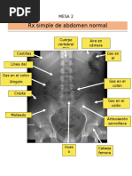 Facies Algicas | PDF | Anatomía humana | Especialidades Medicas