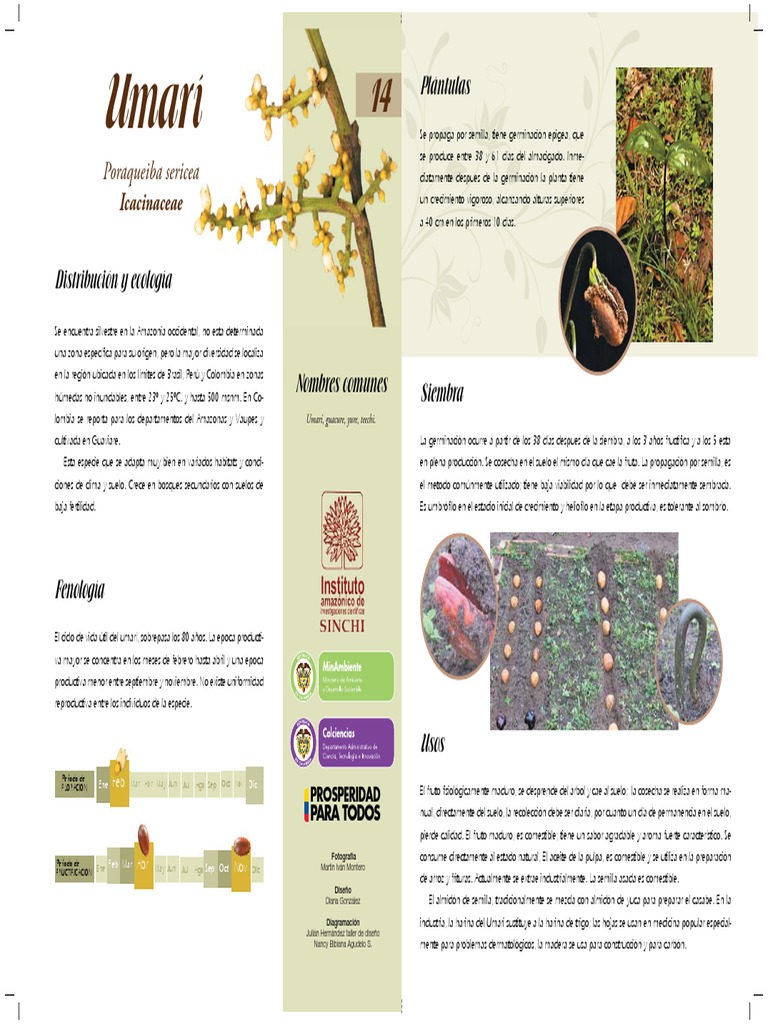 Umari | PDF | Organismos | Plantas