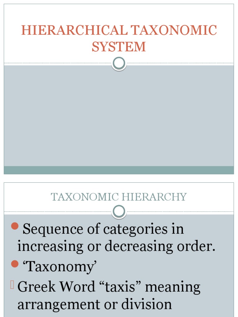 Hierarchical Taxonomic System | PDF | Taxonomy (Biology) | Biological ...