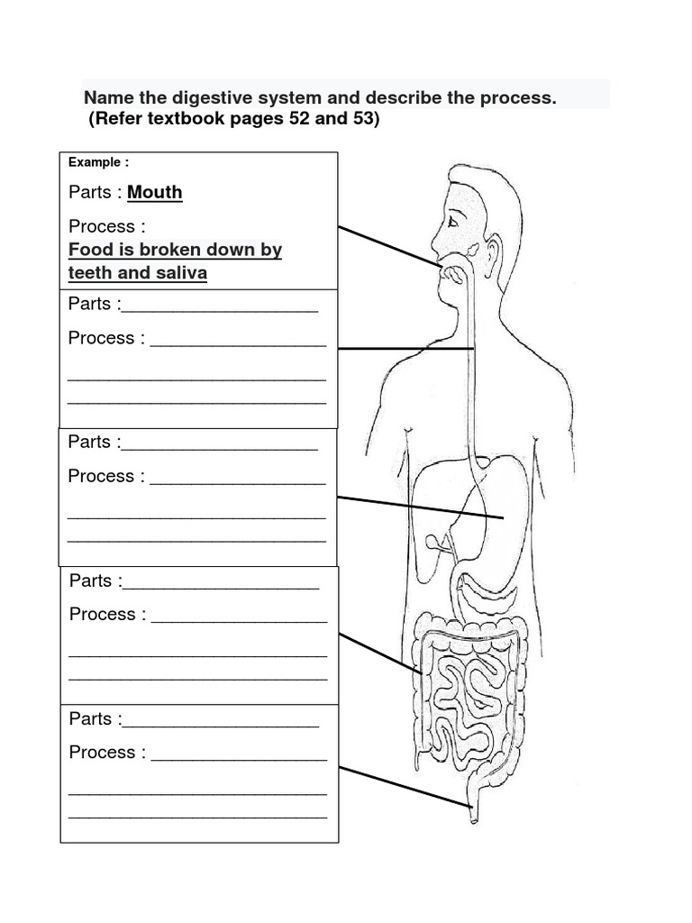 Science Year 3 (26 April 2020) | PDF