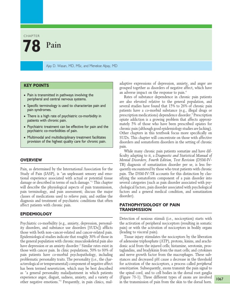 Ajay D. Wasan, MD, MSC, and Menekse Alpay, MD: Key Points | PDF ...