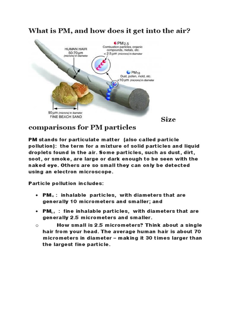 What Is PM, and How Does It Get Into The Air? | PDF