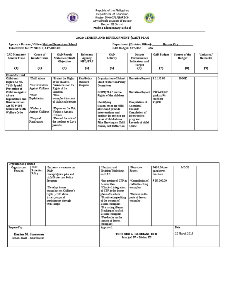2020 Gender and Development (Gad) Plan | PDF | Public Sphere | Social ...