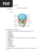 Anatomi Rangka Aksial Dan Apendikular | PDF