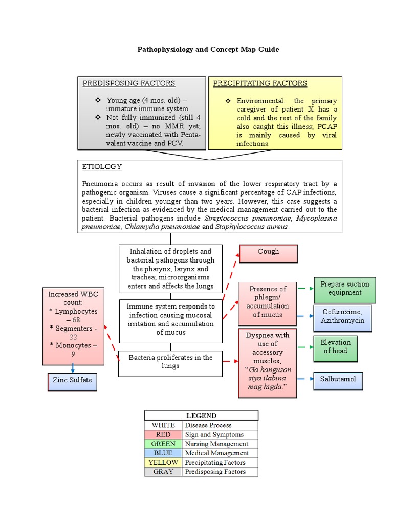 Pathophysiology and Concept Map Guide: Pneumoniae, Chlamydia Pneumoniae ...