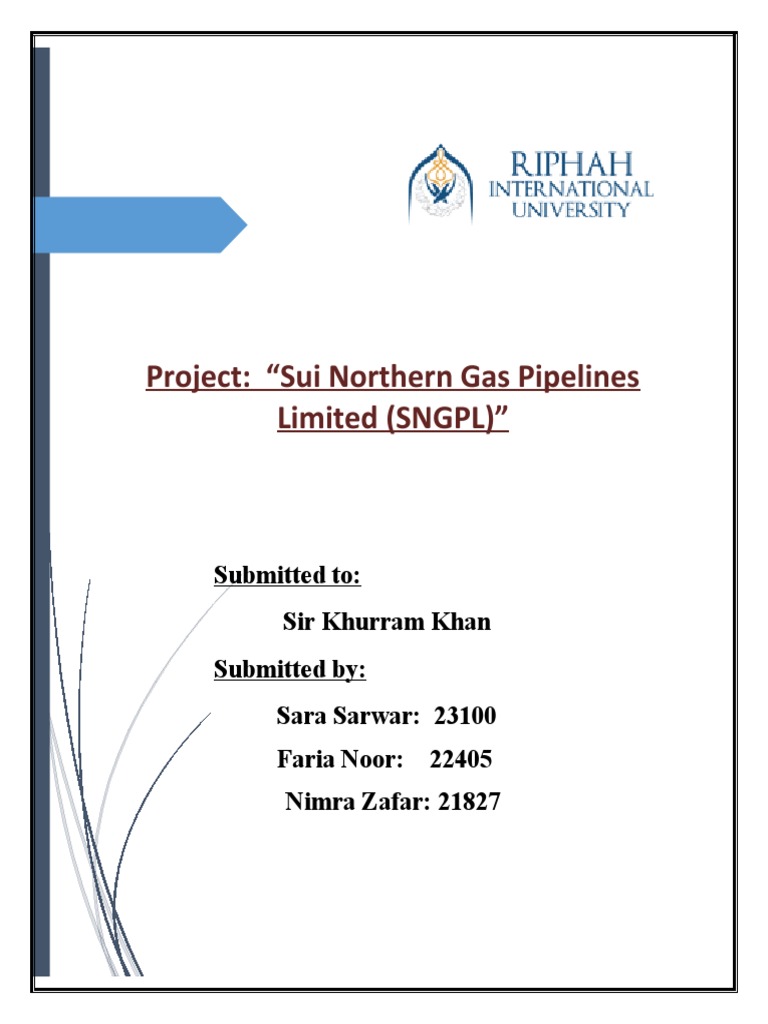 Project: "Sui Northern Gas Pipelines Limited (SNGPL) " | PDF | Human ...