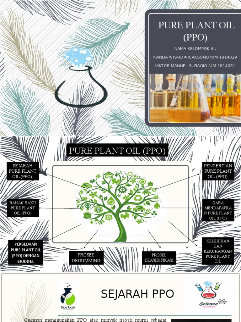 Pure Plant Oil (PPO) FIX | PDF