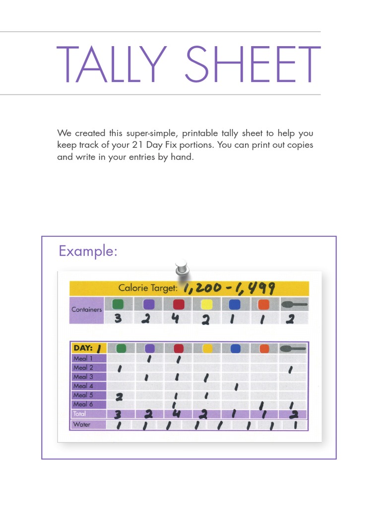 Tally Sheet PDF | PDF