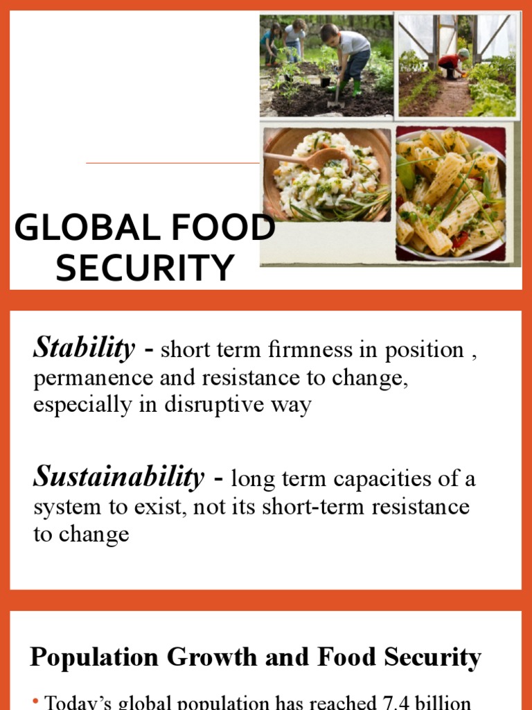 Food Security | PDF | Food Security | World Population