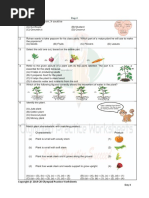 Class 2 Logical Reasoning | PDF