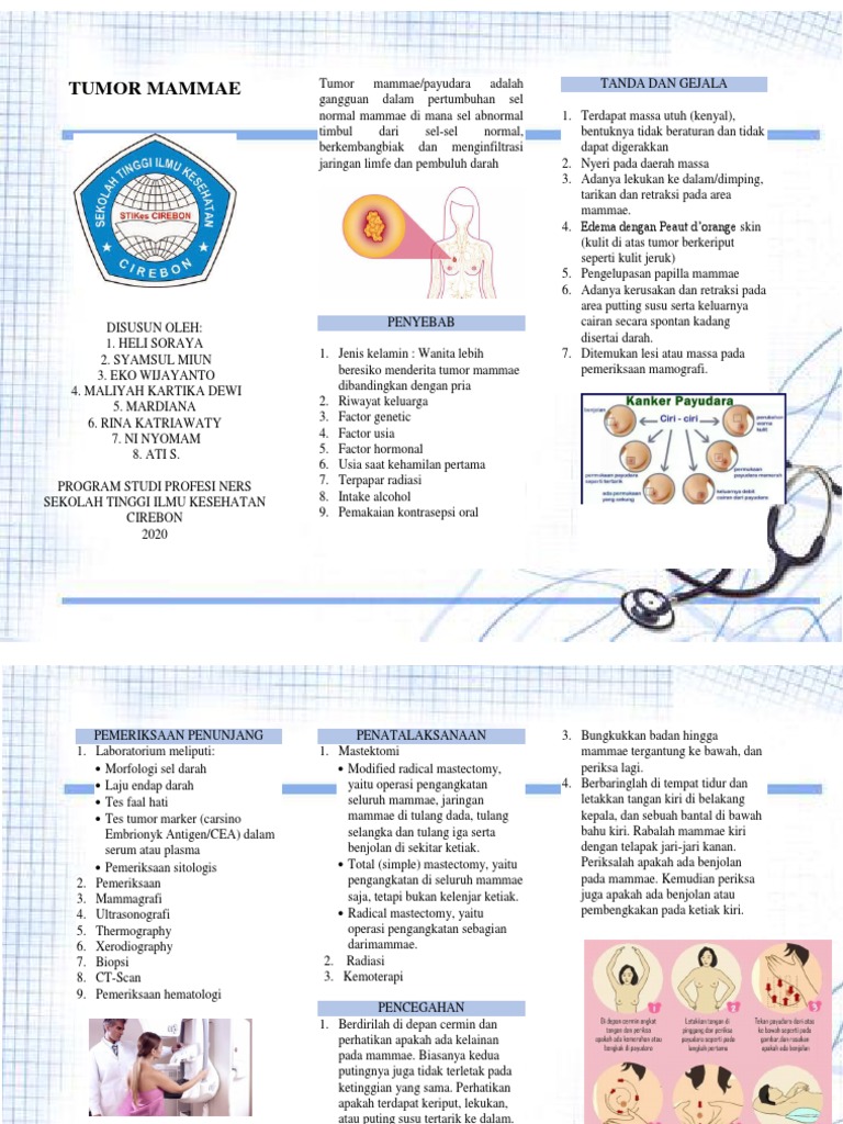 Tumor Mammae Leaflet | PDF