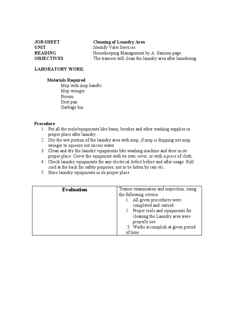 Laundry Area Cleaning Guide | PDF