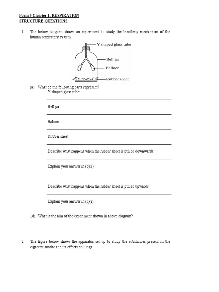 Form 5 Chapter 1: RESPIRATION Structure Questions | PDF | Respiratory ...