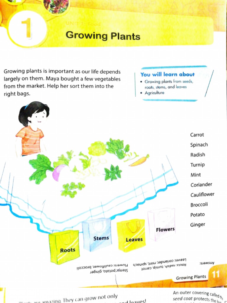 Class 5 - Science - Book PDF | PDF | Seed | Germination
