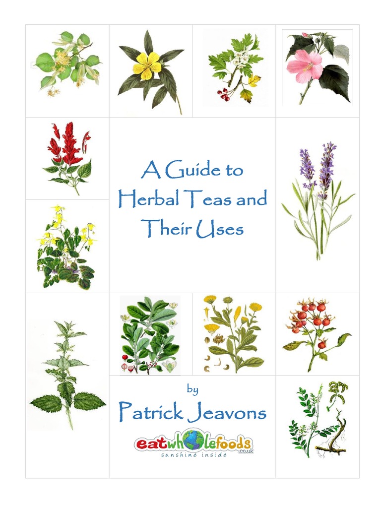 A Guide To Herb Teas and Their Uses | PDF | Medical Specialties ...