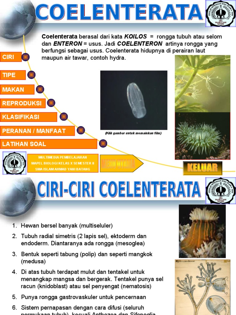 Ciri dan Klasifikasi Coelenterata | PDF